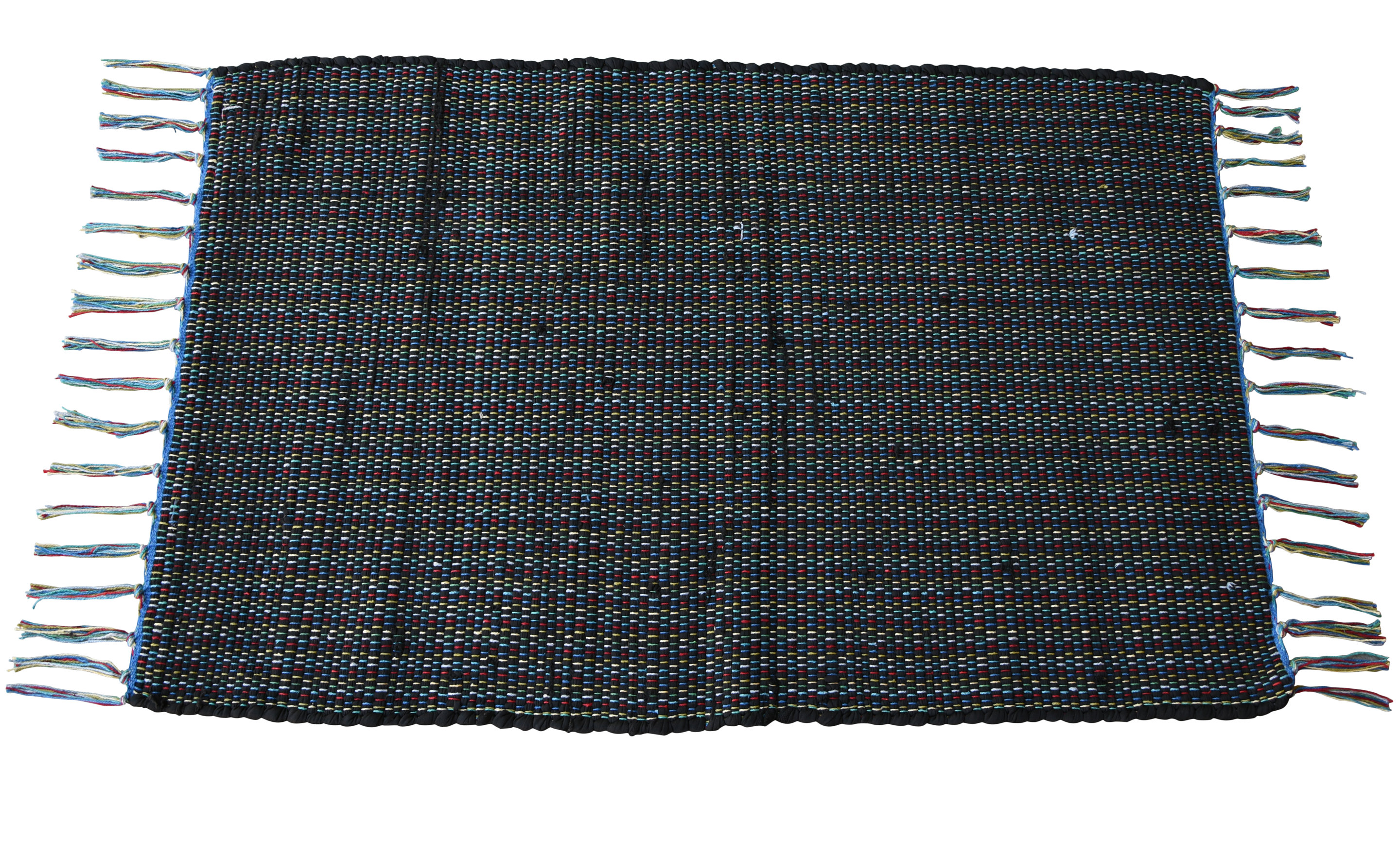 World Menagerie 36" x 24" Indoor/Outdoor Door Mat | Wayfair