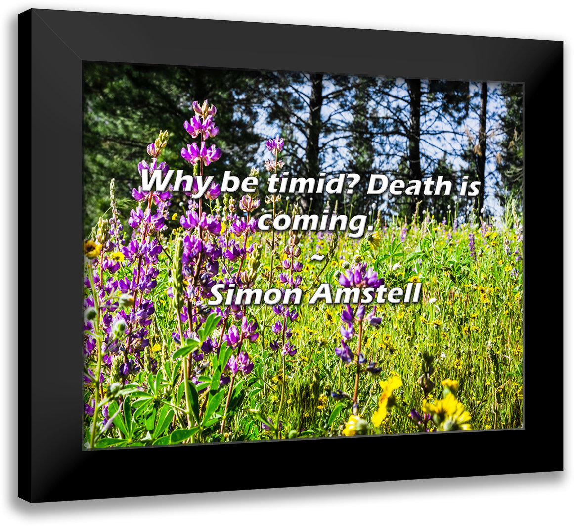Latitude Run® Simon Amstell Quote: Why be timid? Death is coming. | Wayfair