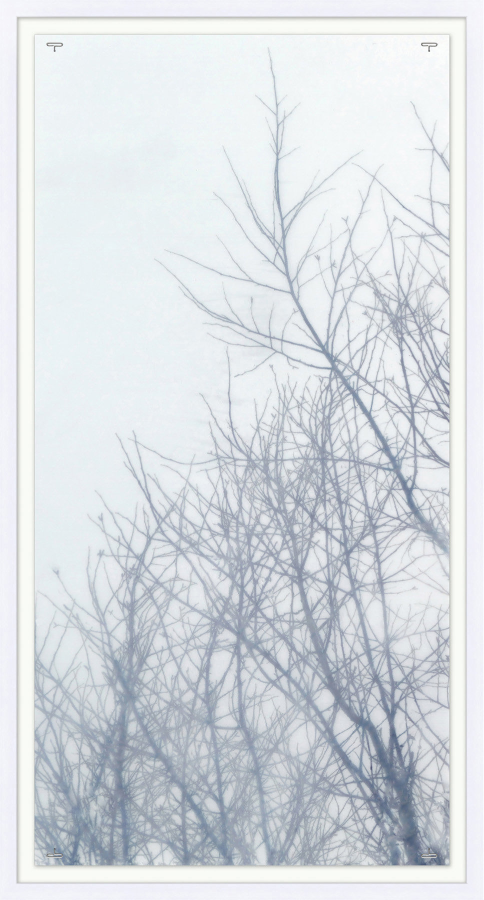 Wendover Art Group Encaustic Tree Panel A by Thom Filicia - Picture ...