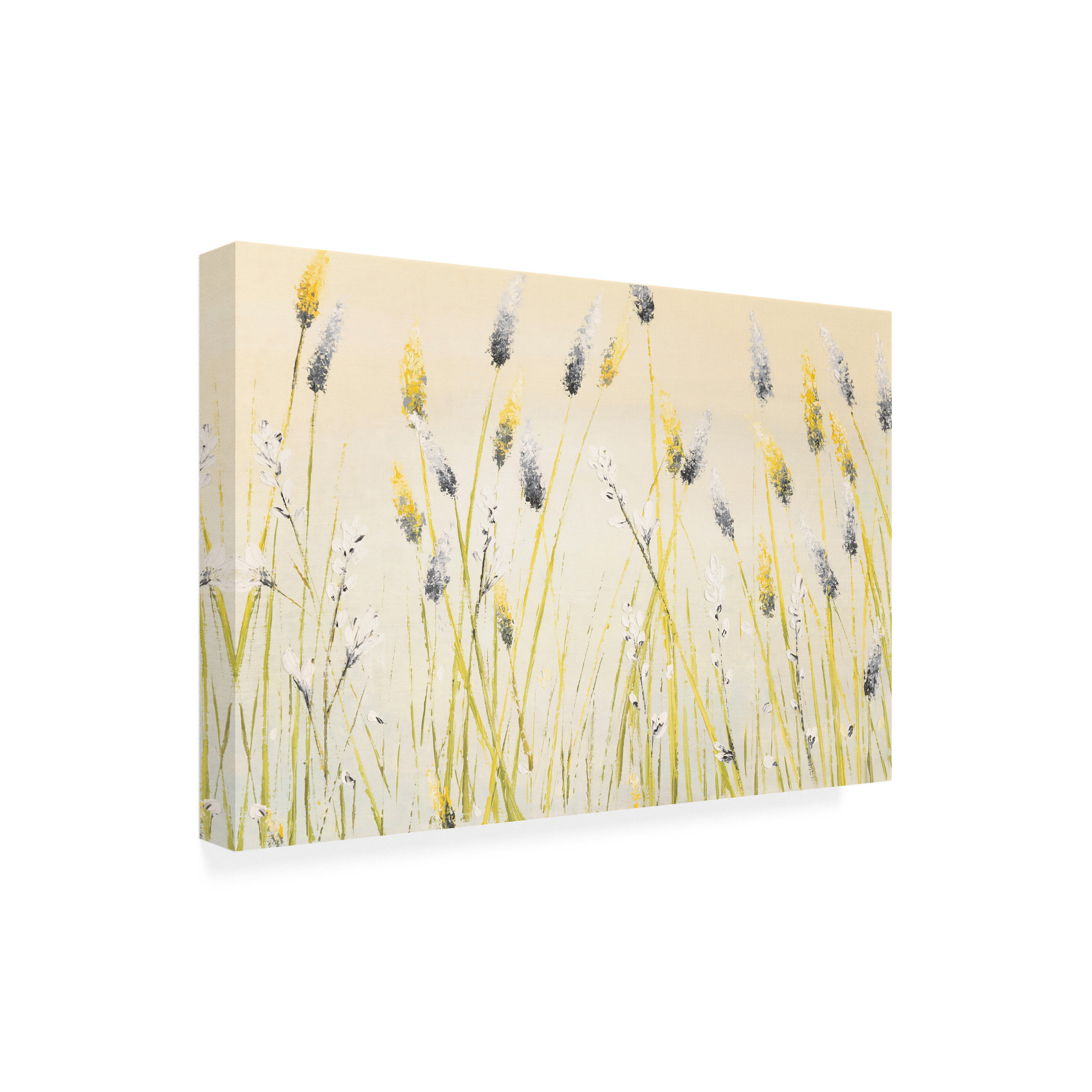 Winston Porter Gerko Bugbane Field On Canvas by Emma Coghlan Graphic ...