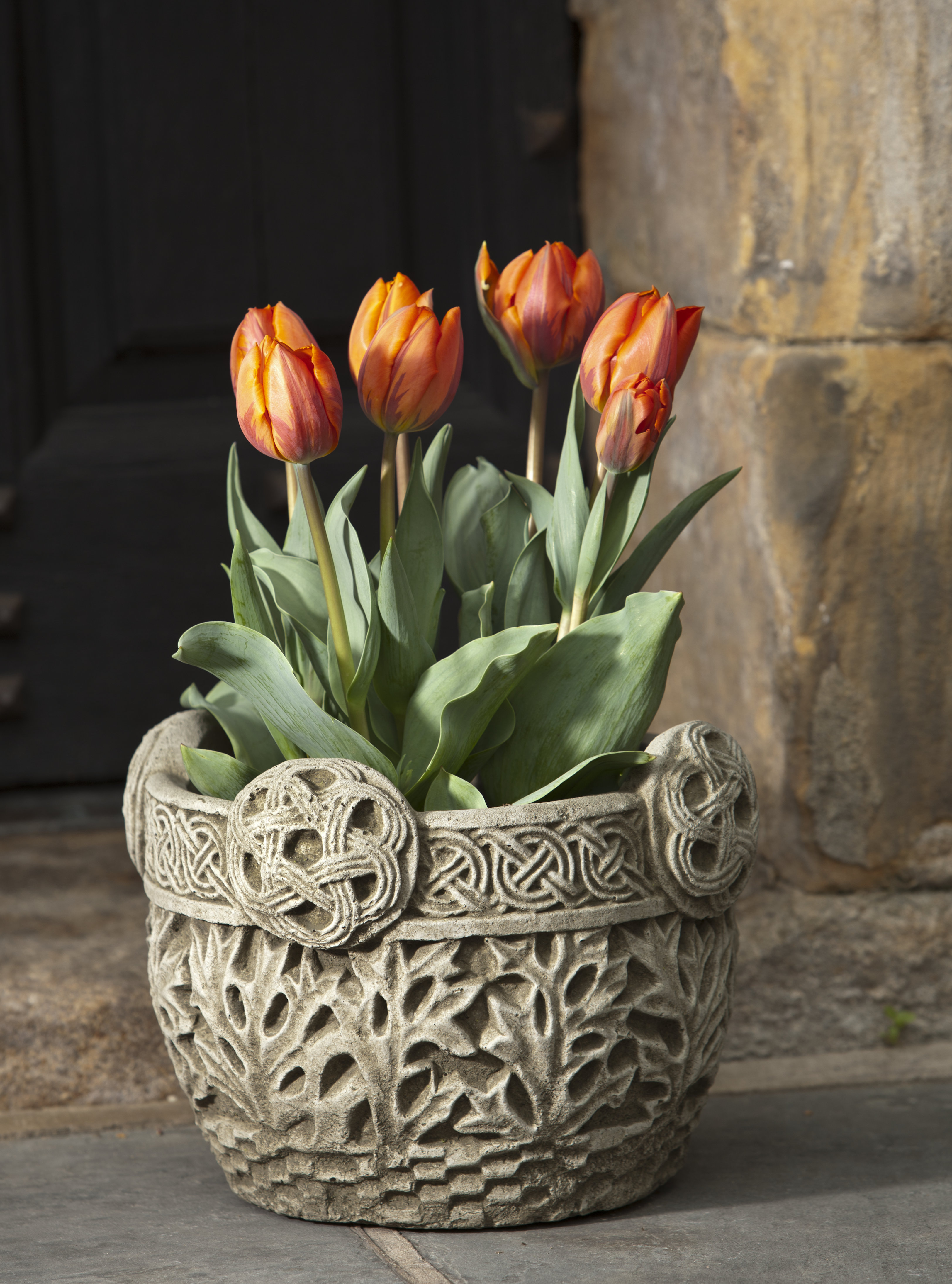 Campania International Cast Stone Pot Planter & Reviews | Wayfair