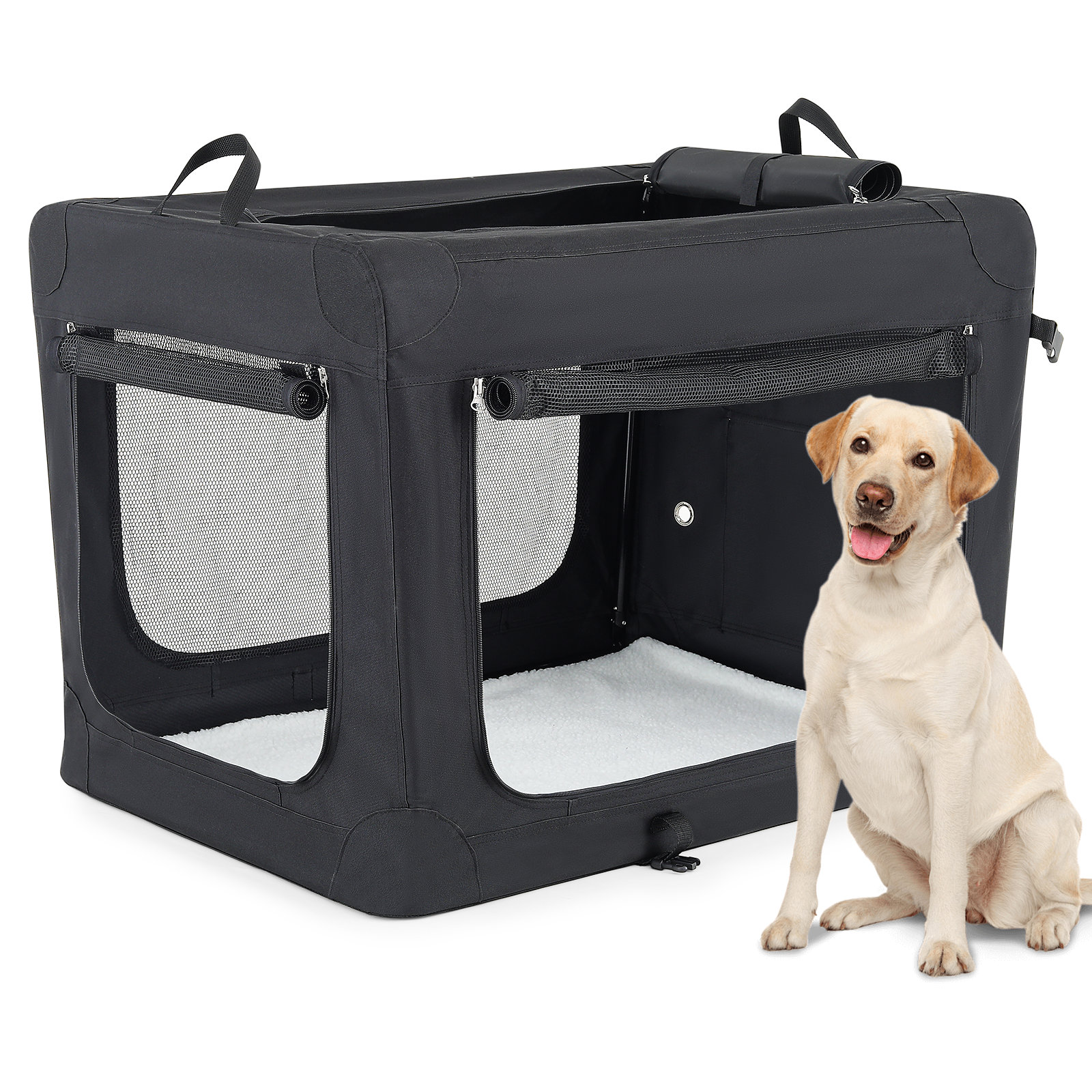 Tucker Murphy Pet™ Collapsible Pet Dog Crate With 4 Door And Steel ...