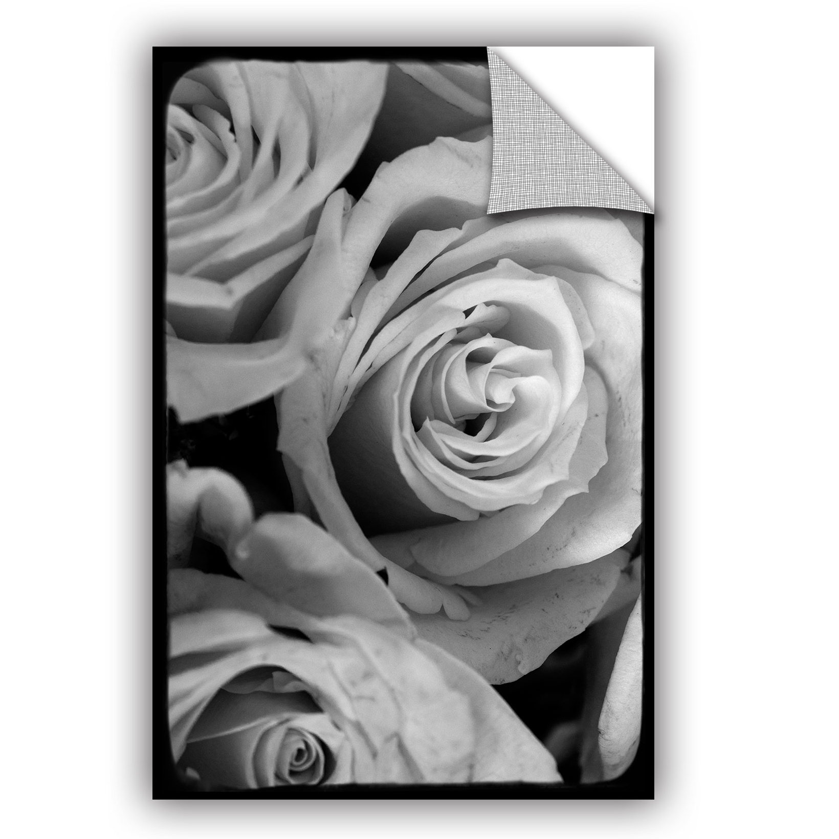 Lark Manor Akeema Rose Petals Removable Wall Decal - Wayfair Canada