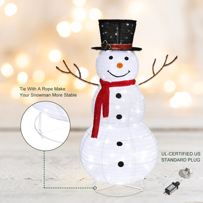 The Holiday Aisle® Snowman Lighted Display & Reviews | Wayfair