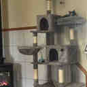 Archie & Oscar™ Timmins 78.3" Multi-Level Cat Tree with Cat Scratching ...