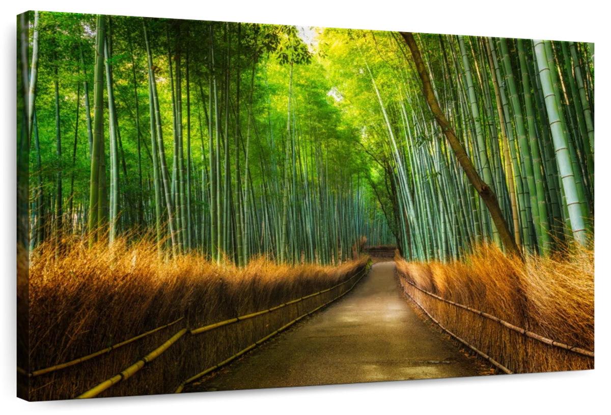 Bayou Breeze Arashiyama Bamboo Grove Path | Wayfair