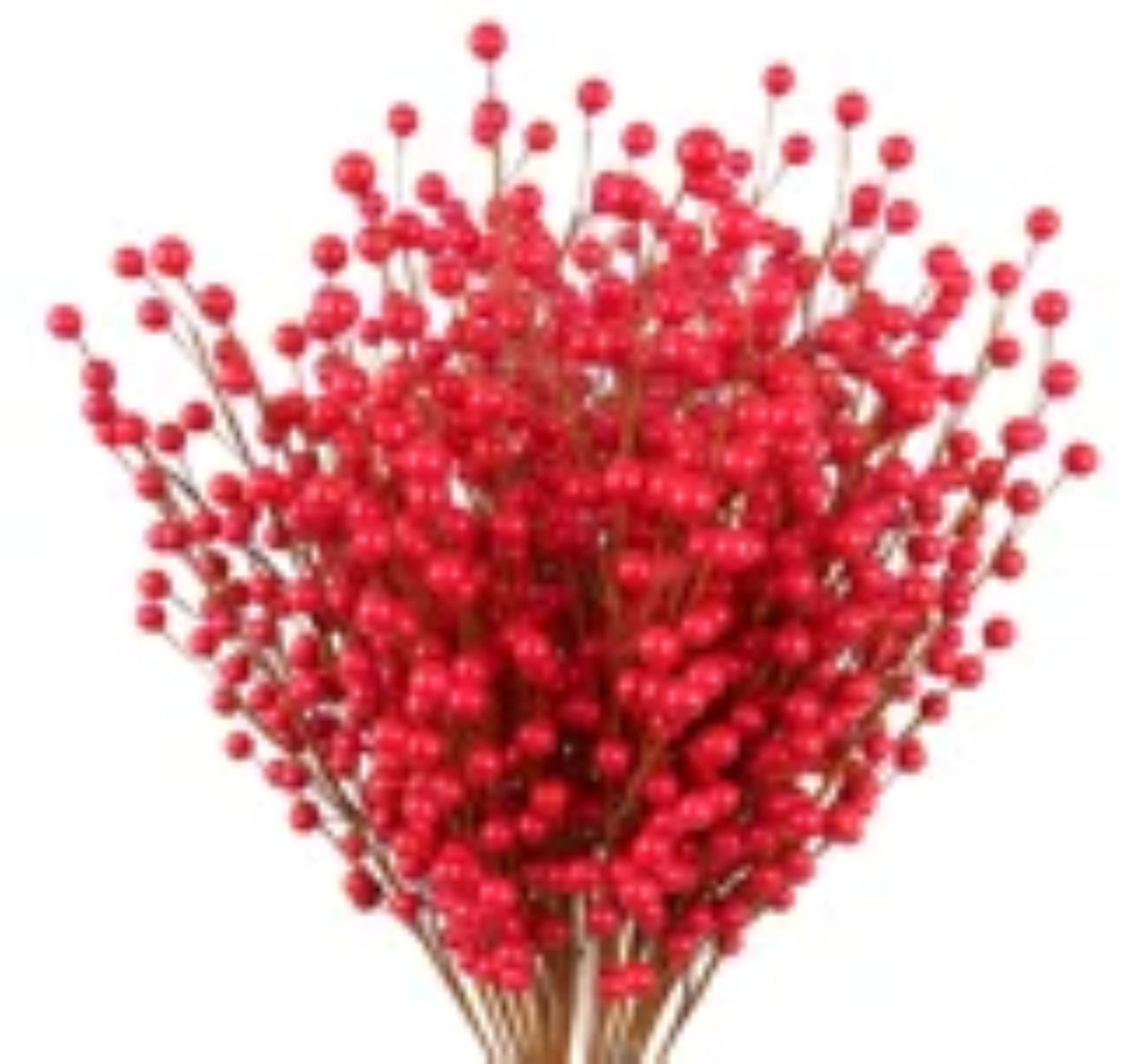 Primrue 17" Red Berry Spray (48 Stems) - Festive Christmas Decor | Wayfair