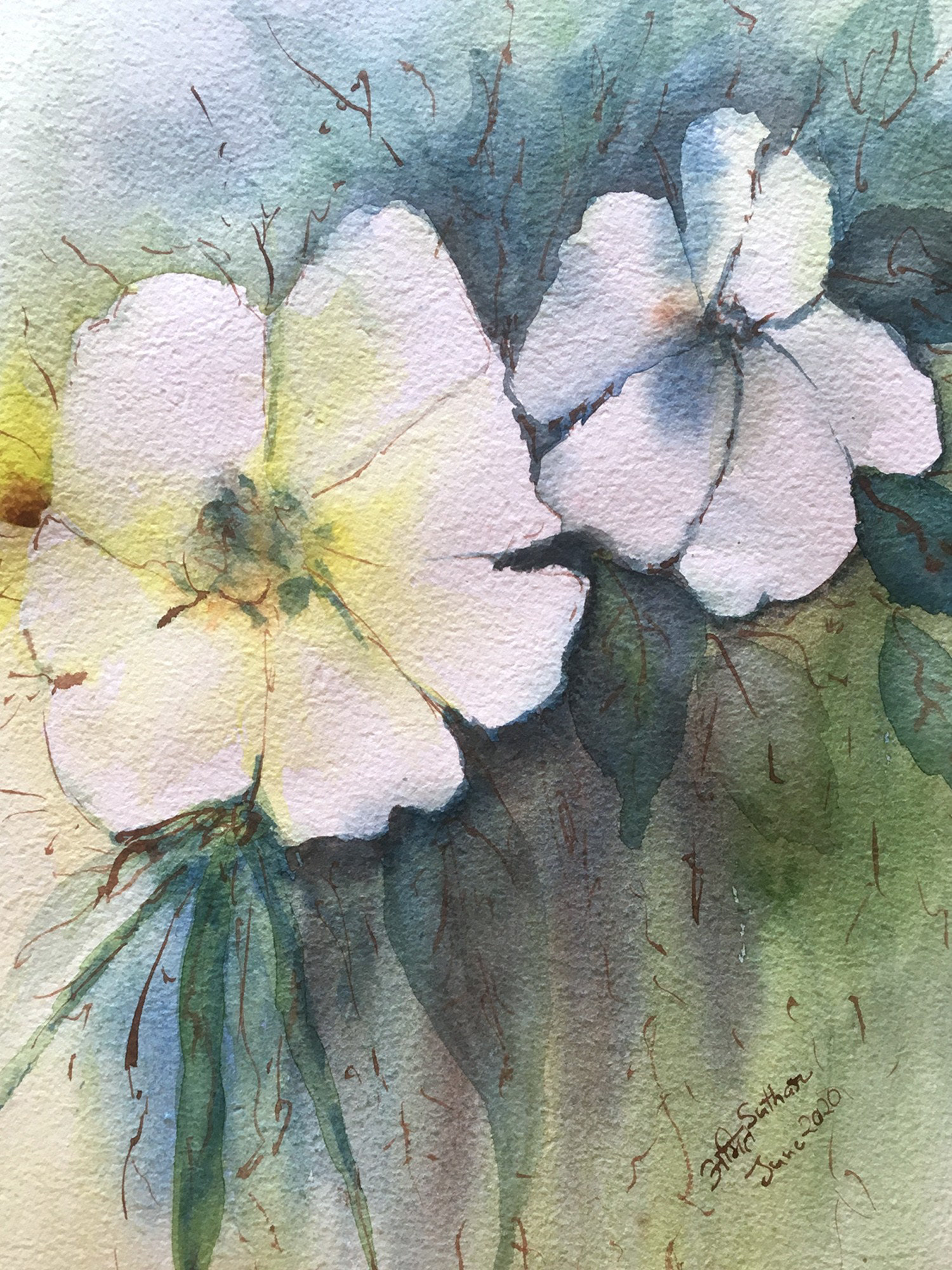 Red Barrel Studio® White Flower | Water Color Painting | By Amit Suthar ...