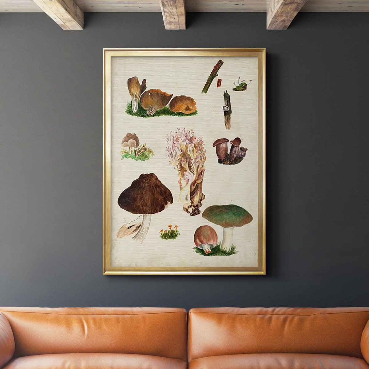 Wexford Home Mushroom Species IX Premium Framed Print - Ready To Hang ...