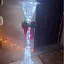 Three Posts™ Lamppost LED Lighted Display & Reviews | Wayfair