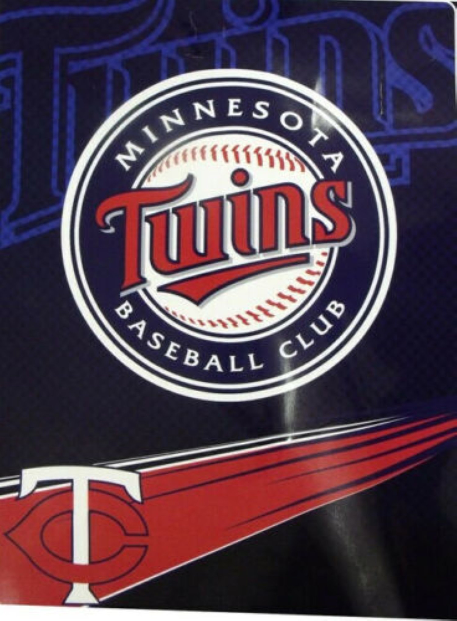 NY Textile Haus Minnesota Twins Plush Blanket | Wayfair