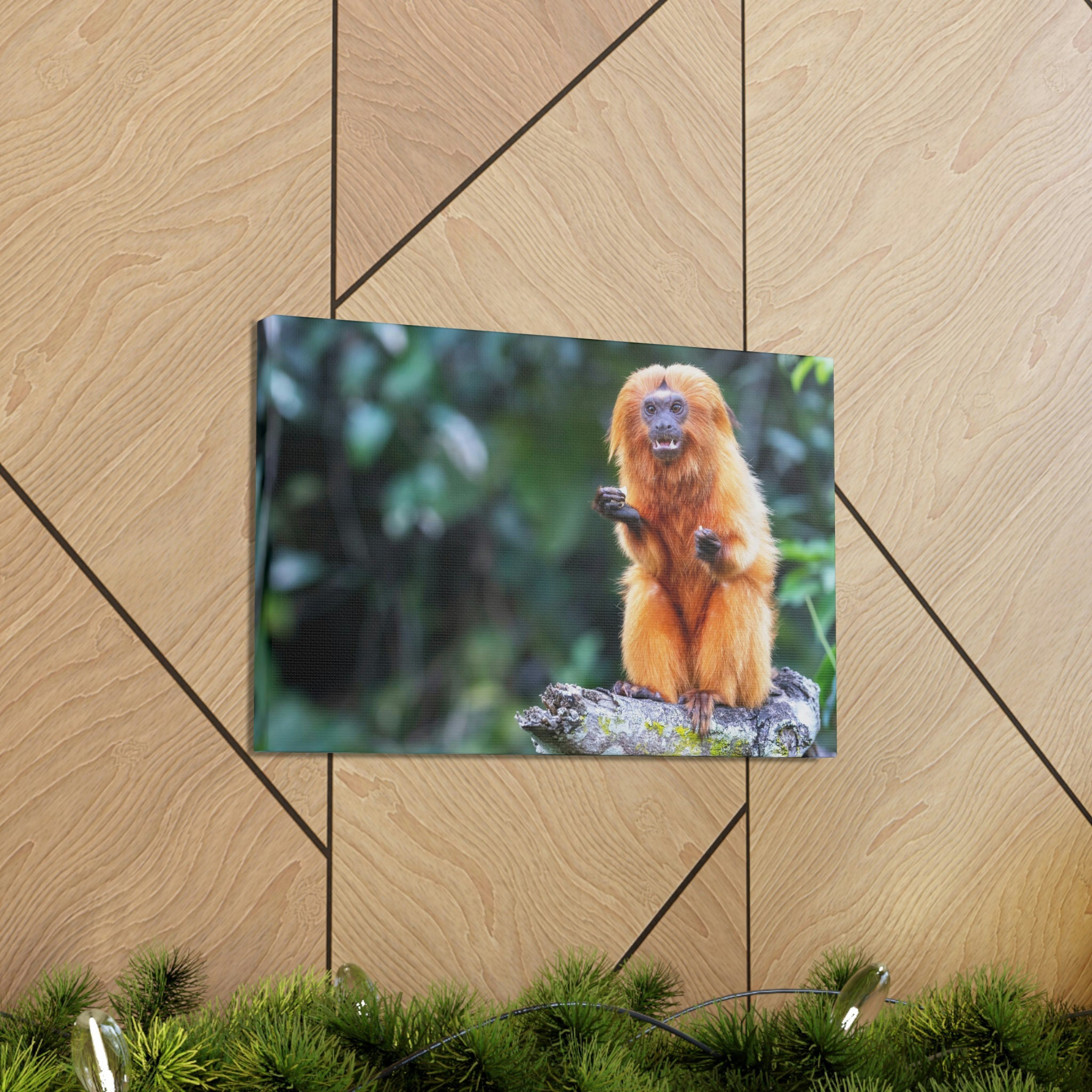 Latitude Run® Majestic Tamarin Art Majestic Tamarin Print Animal Wall ...