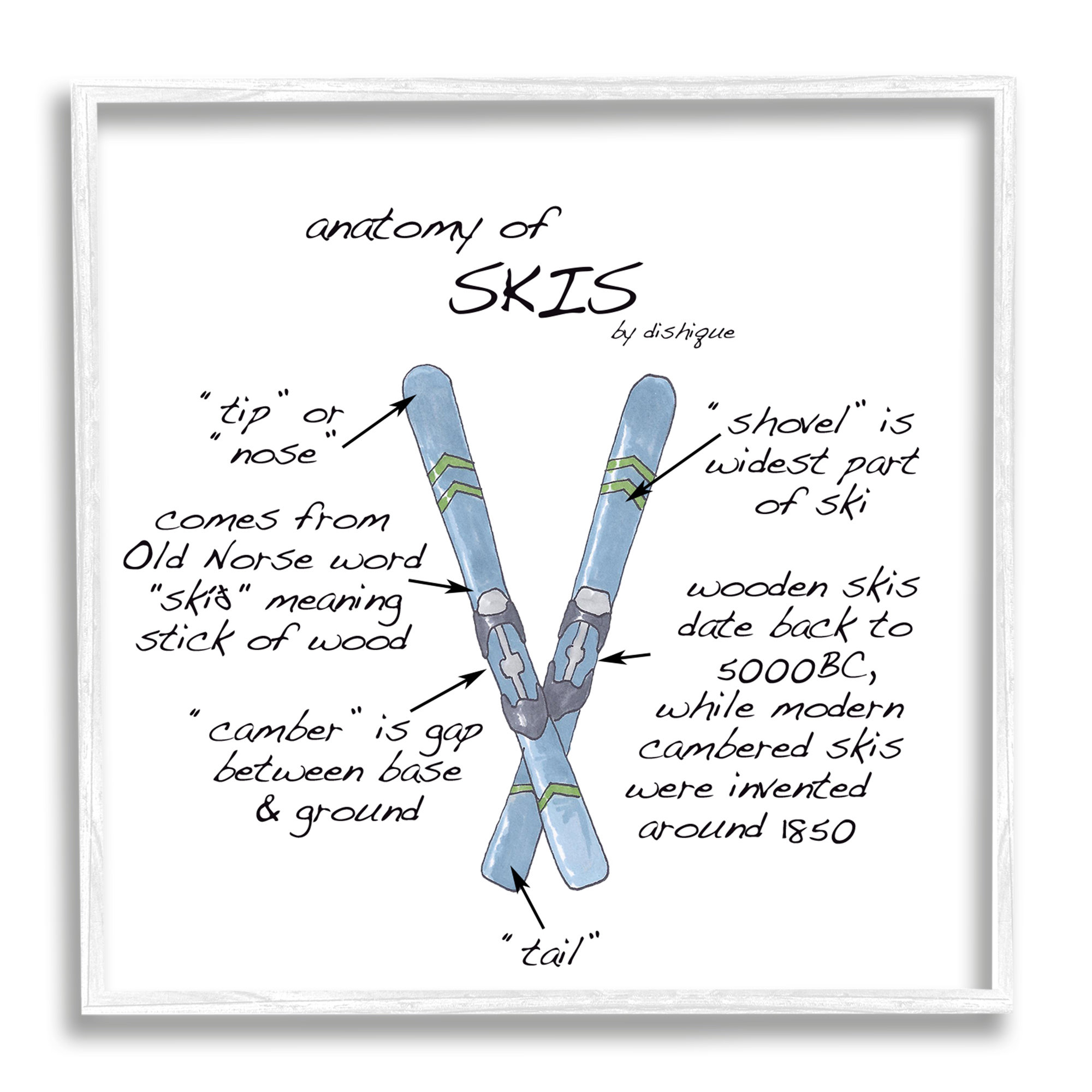 Stupell Industries " Anatomy Of Skis Winter Sports Diagram Facts Chart ...