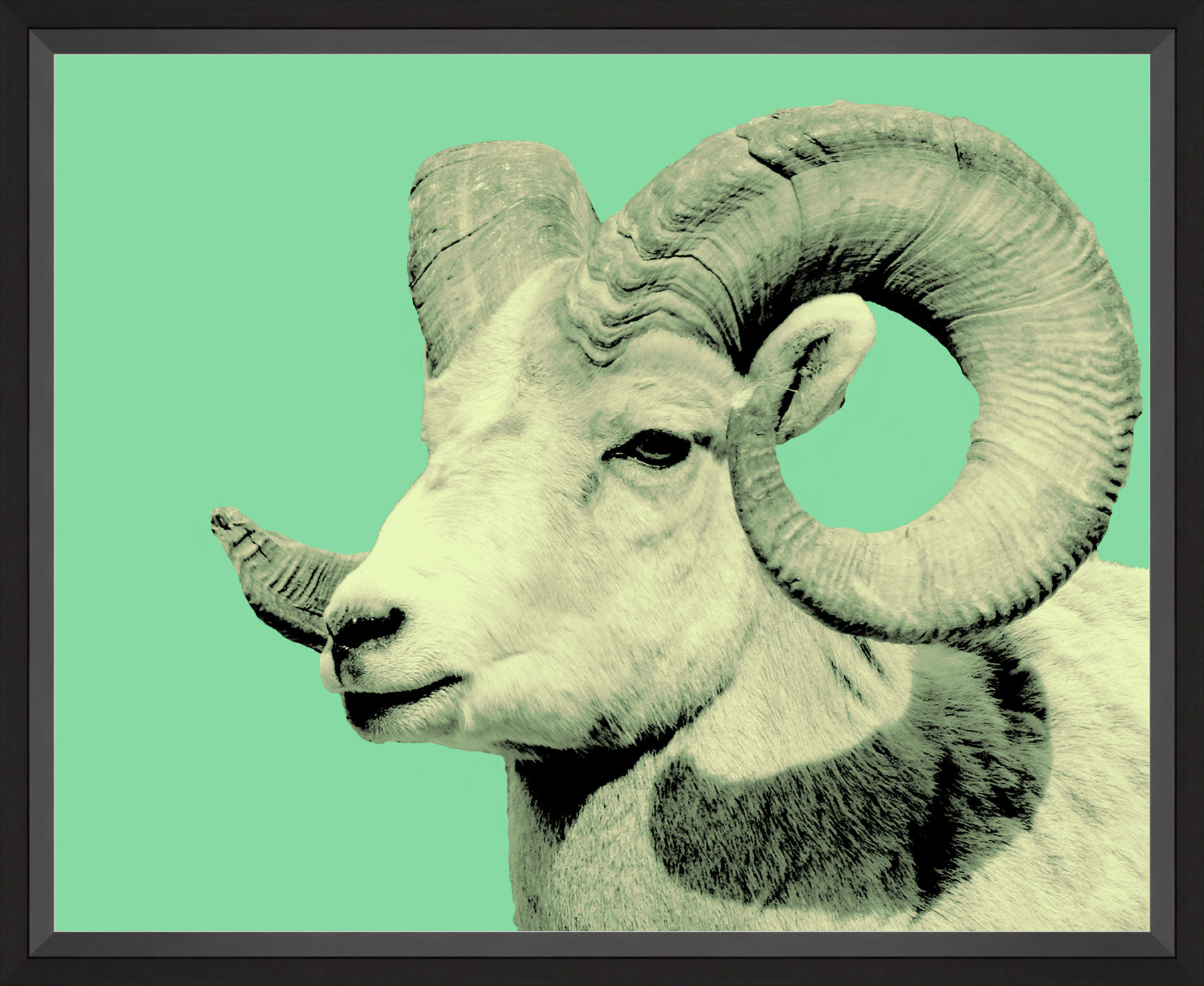 Wendover Art Group Graphic Sheep 2 - Picture Frame Photograph on Paper ...