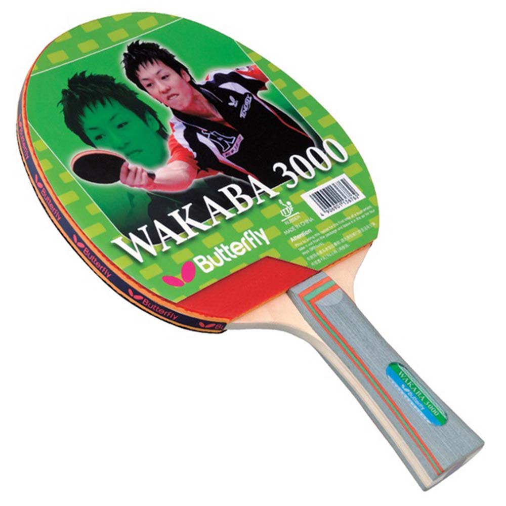Butterfly Wakaba 3000 Racket | Wayfair