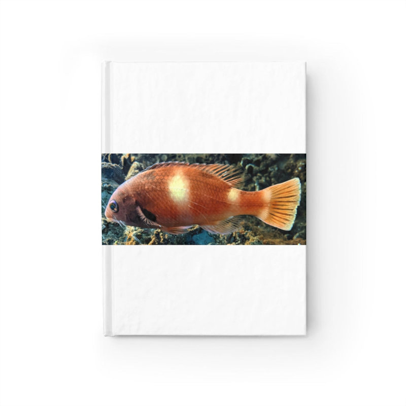 Marick Booster Fish Journal | Wayfair