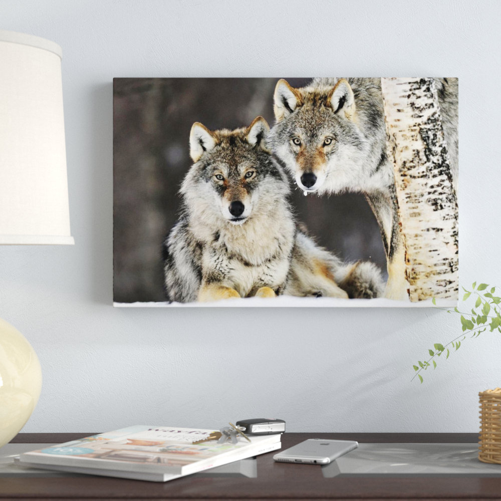 East Urban Home 'Gray Wolf Pair in The Snow, Norwayt' Photographic ...
