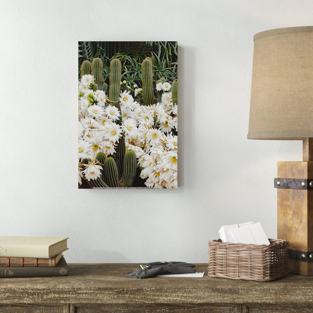 Union Rustic Flower Cactus - Wrapped Canvas Photograph - Wayfair Canada