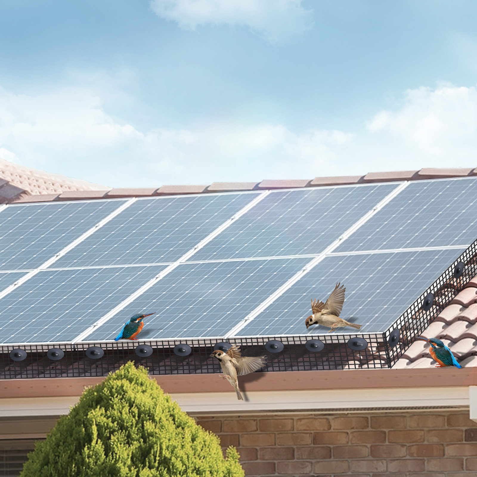 VEVOR 0.036'' H x 1200'' W Polyvinyl Chloride (PVC) Fencing Kits | Wayfair