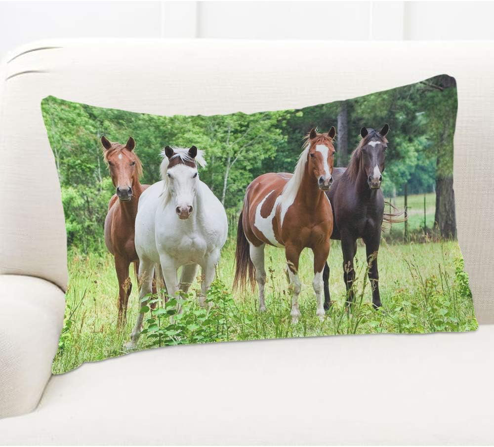 AMIPOR Throw Pillow Cover Horses Brown White Horse Animal Print Group ...