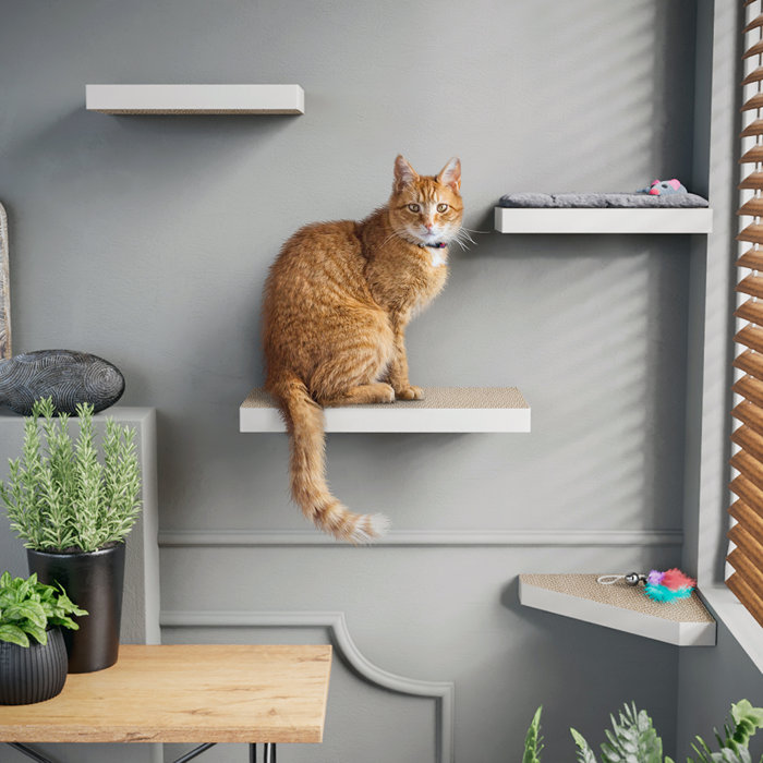 Archie & Oscar™ Skylar Cat Perch & Reviews | Wayfair