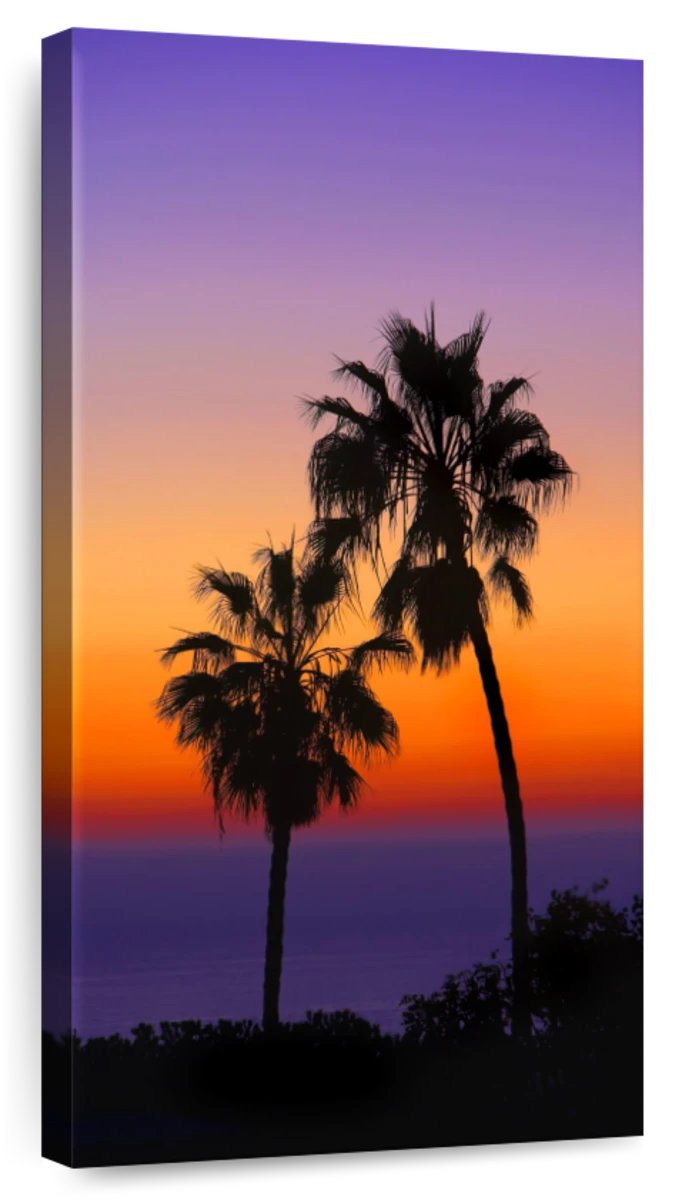 Winston Porter Palm Trees Colourful Sky - Wayfair Canada