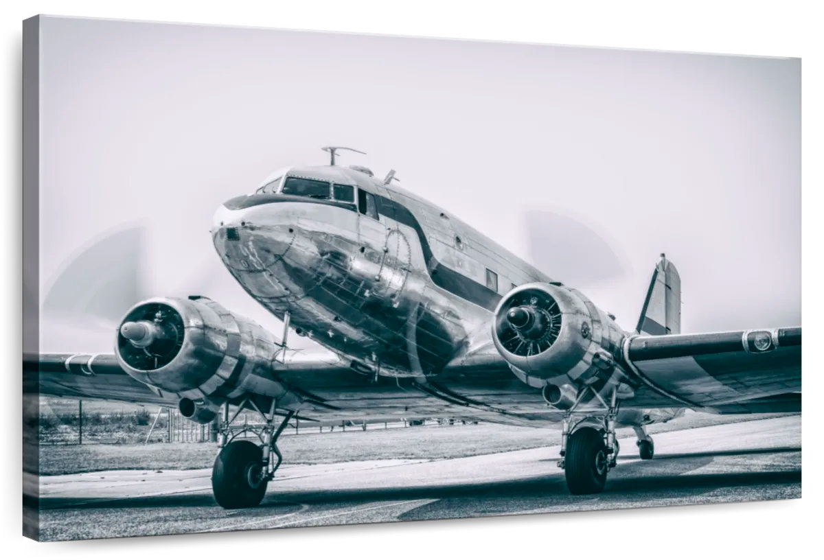 Ebern Designs Mehar Douglas DC-3 Propeller Airplane - Wayfair Canada