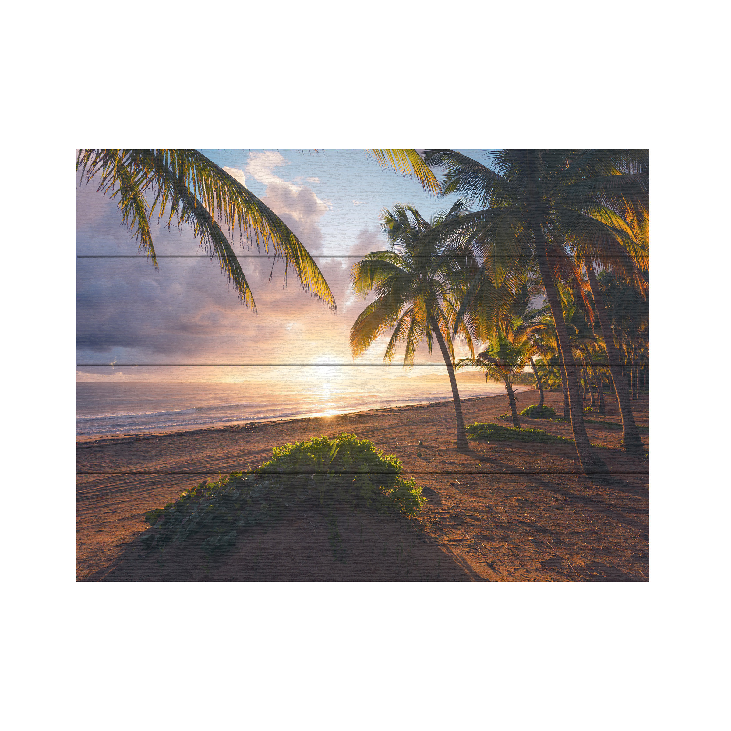 Highland Dunes Good Morning Paradise On Wood Print | Wayfair
