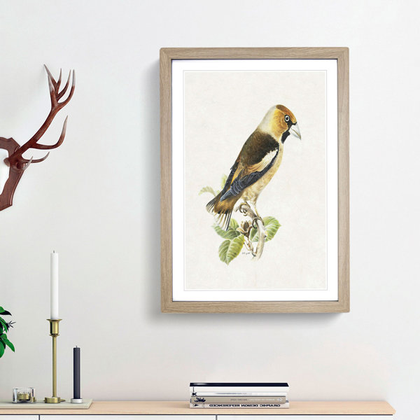 East Urban Home Hawfinch Bird by Von Wright - Picture Frame Painting ...