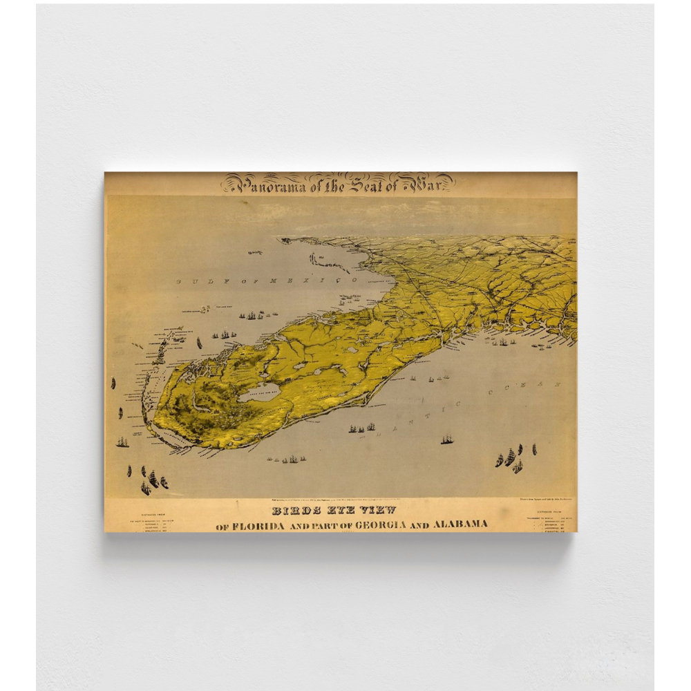 WeFrameArt Birds Eye View Of Florida And Part Of Georgia And Alabama ...