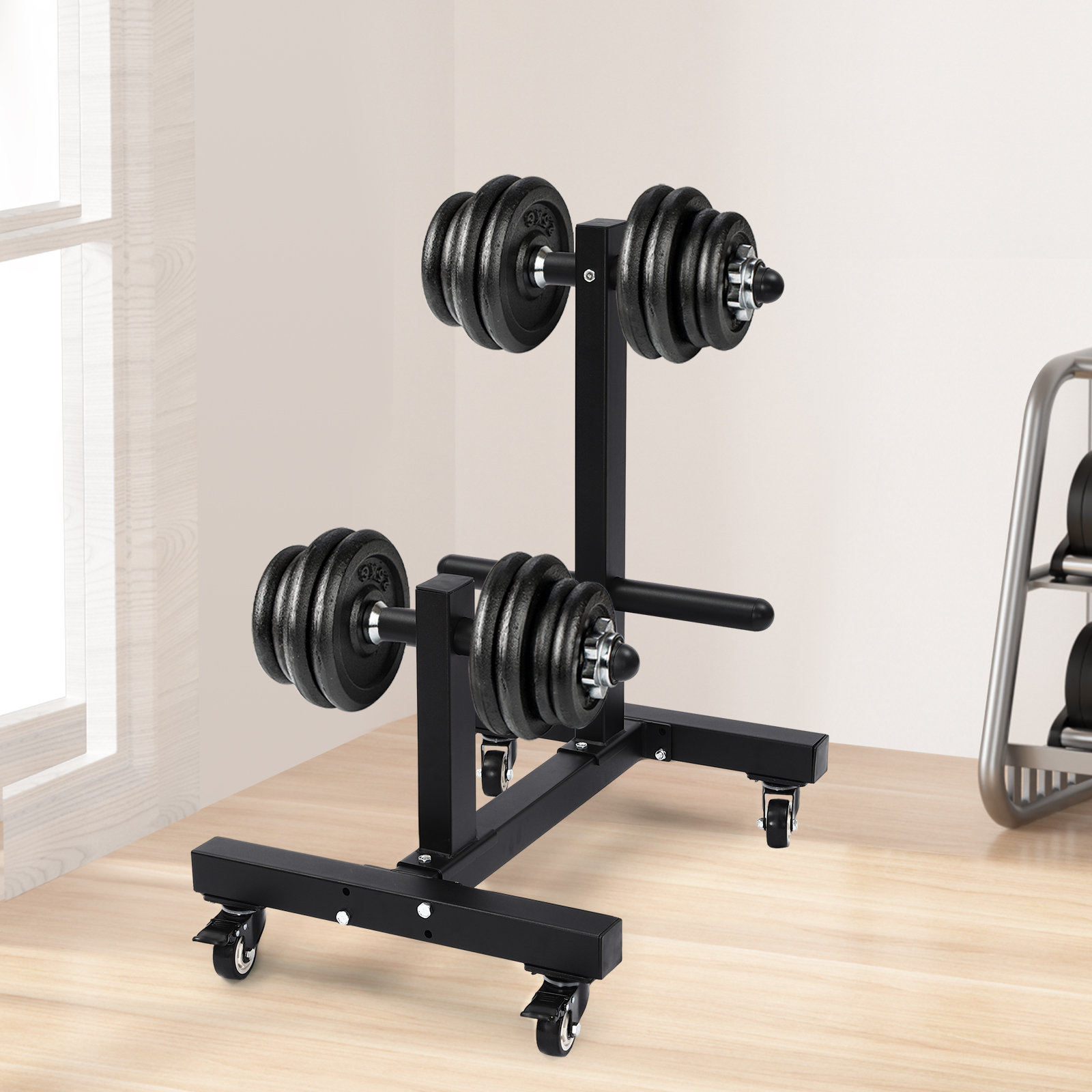 Rebrilliant Montavia Freestanding Dumbbell Storage Rack Sports Rack ...