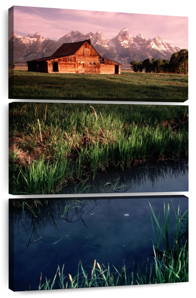 Elephant Stock Antelope Flats Barn | Wayfair