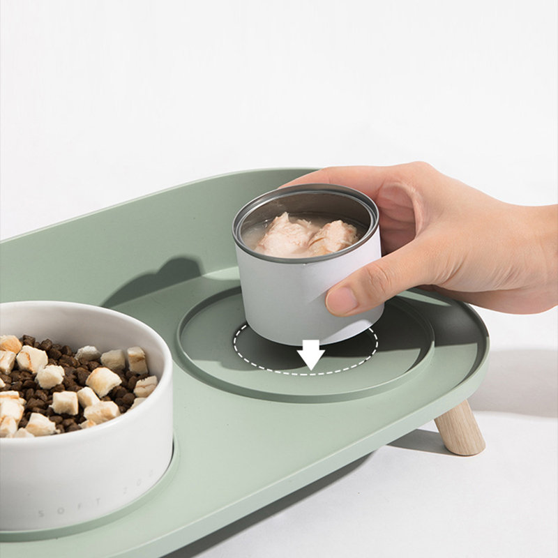 AllModern Azion Double Bowl Elevated Feeder & Reviews | Wayfair