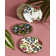 Spode, Creatures Of Curiosity - Dessert Plates & Reviews | Wayfair.co.uk