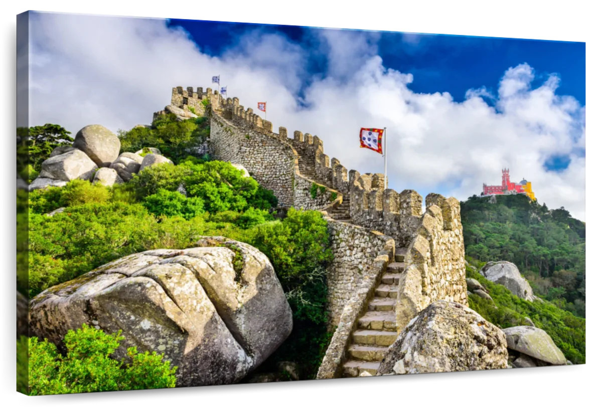 Elephant Stock Castle Of The Moors - Wayfair Canada