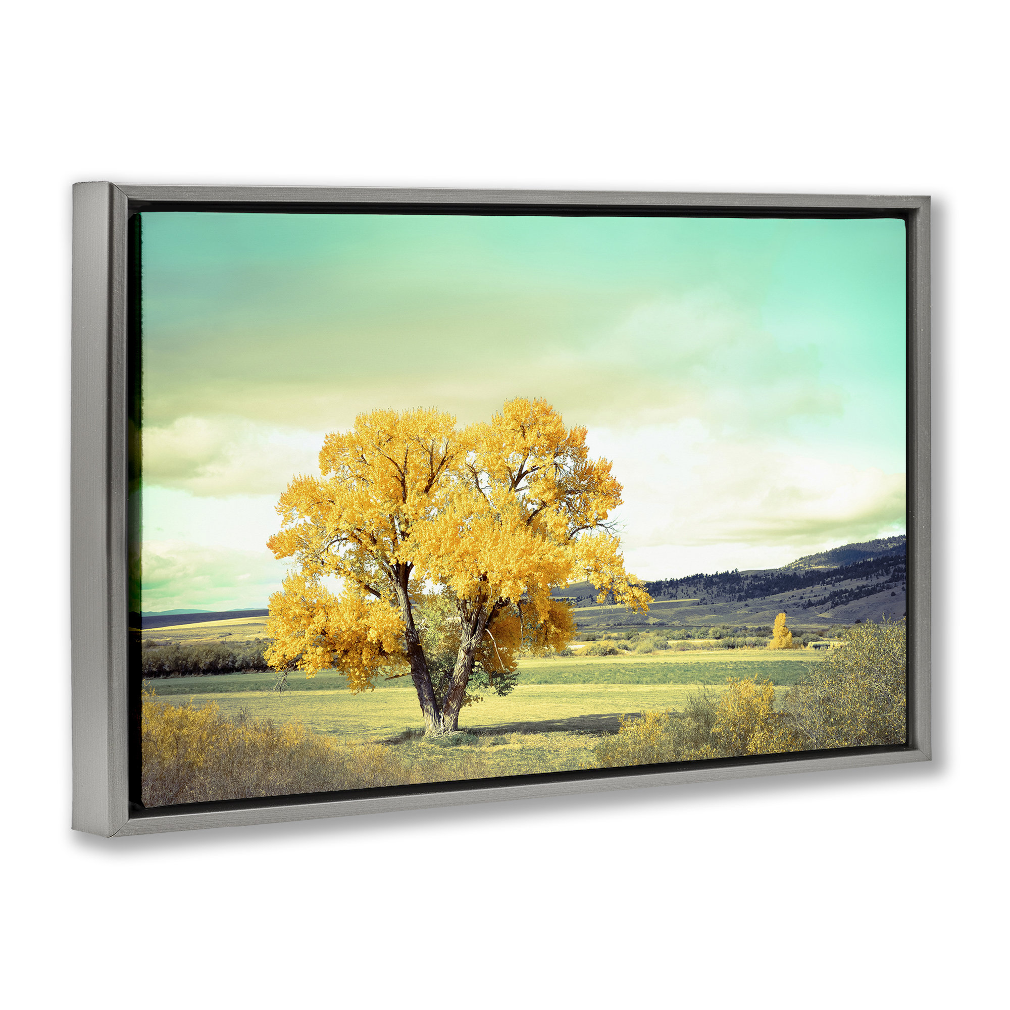 Latitude Run® First To Turn Tree Floating Frame, design by Annie Bailey ...