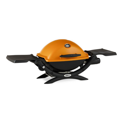 Weber Q® Series Q 1200 & Reviews | Wayfair