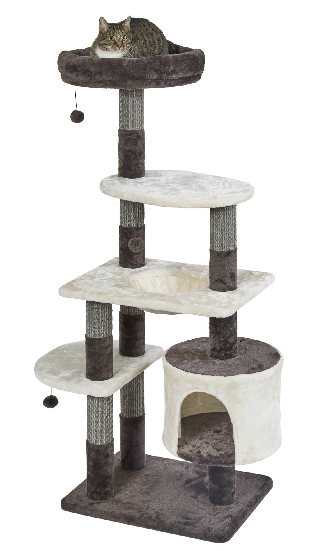 Midwest Homes For Pets 59" Cat Tree | Wayfair