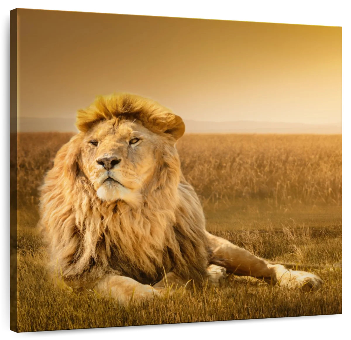 Ebern Designs Crowle Glorious Lion In Safari | Wayfair
