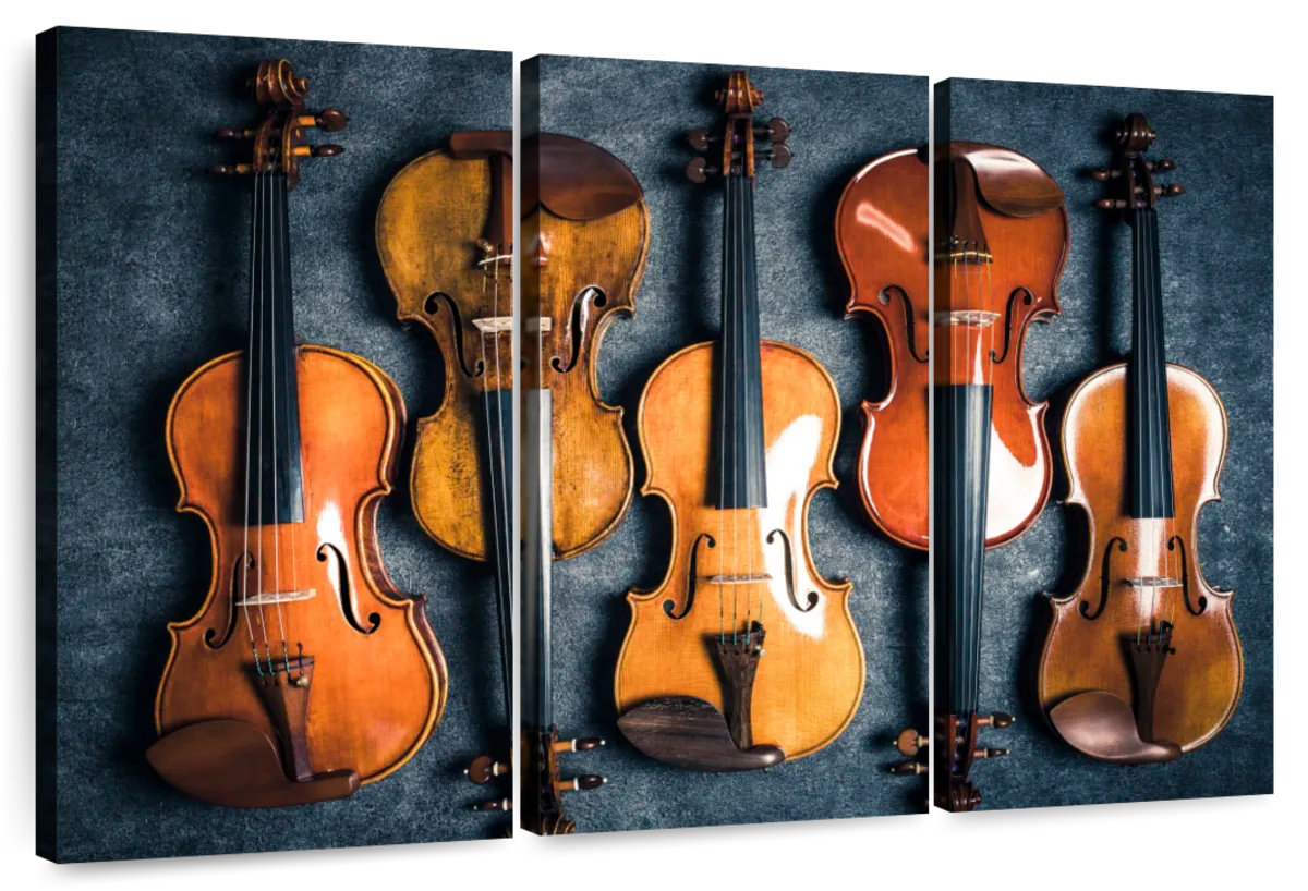 Elephant Stock Violin Collection | Wayfair