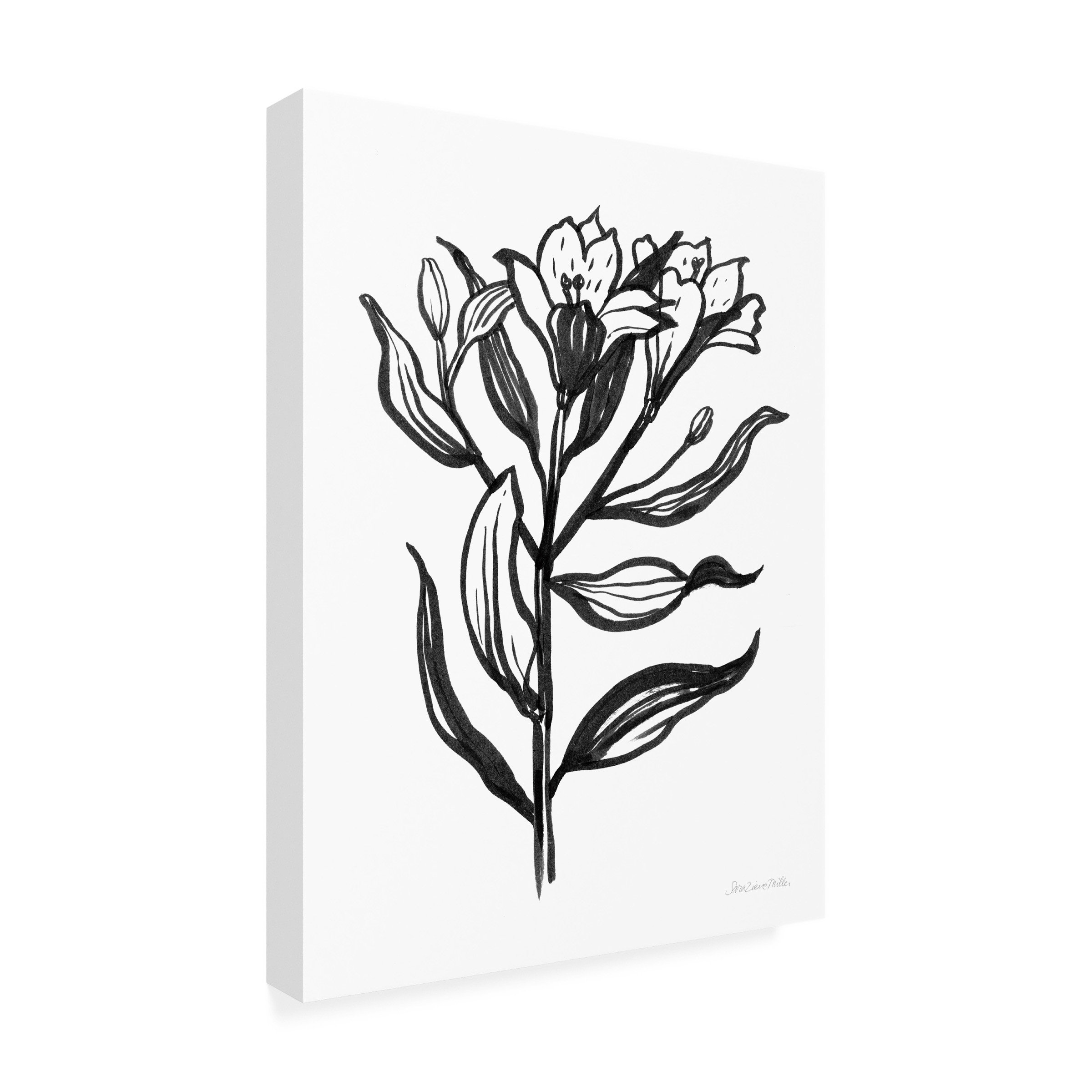 Red Barrel Studio® Sara Zieve Miller ''Ink Flower I'' Canvas Art | Wayfair