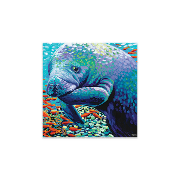Dovecove Sea Sweetheart II Print On Acrylic Glass - Wayfair Canada