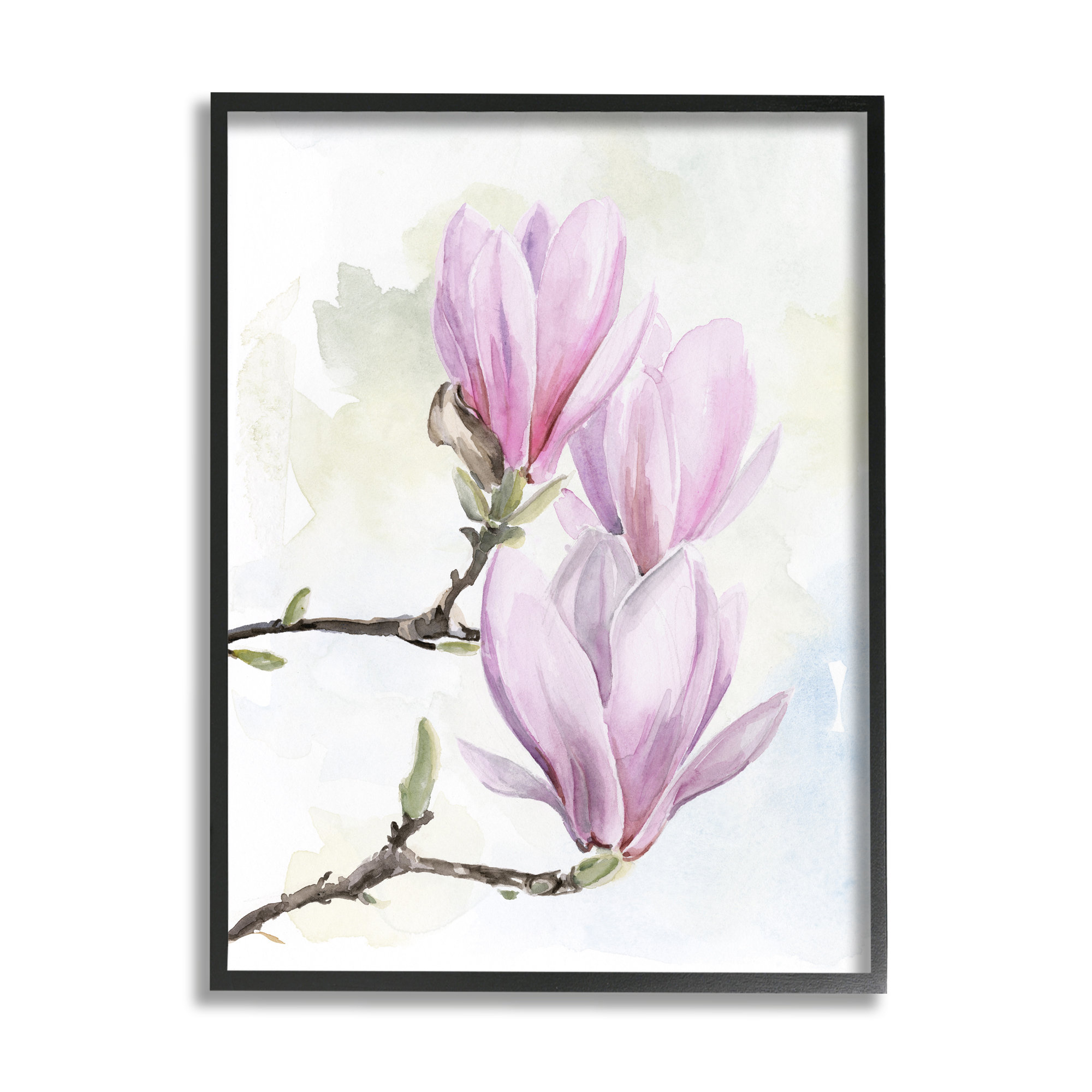 Stupell Industries Pink Magnolia Flower Blooms by Jennifer Paxton ...