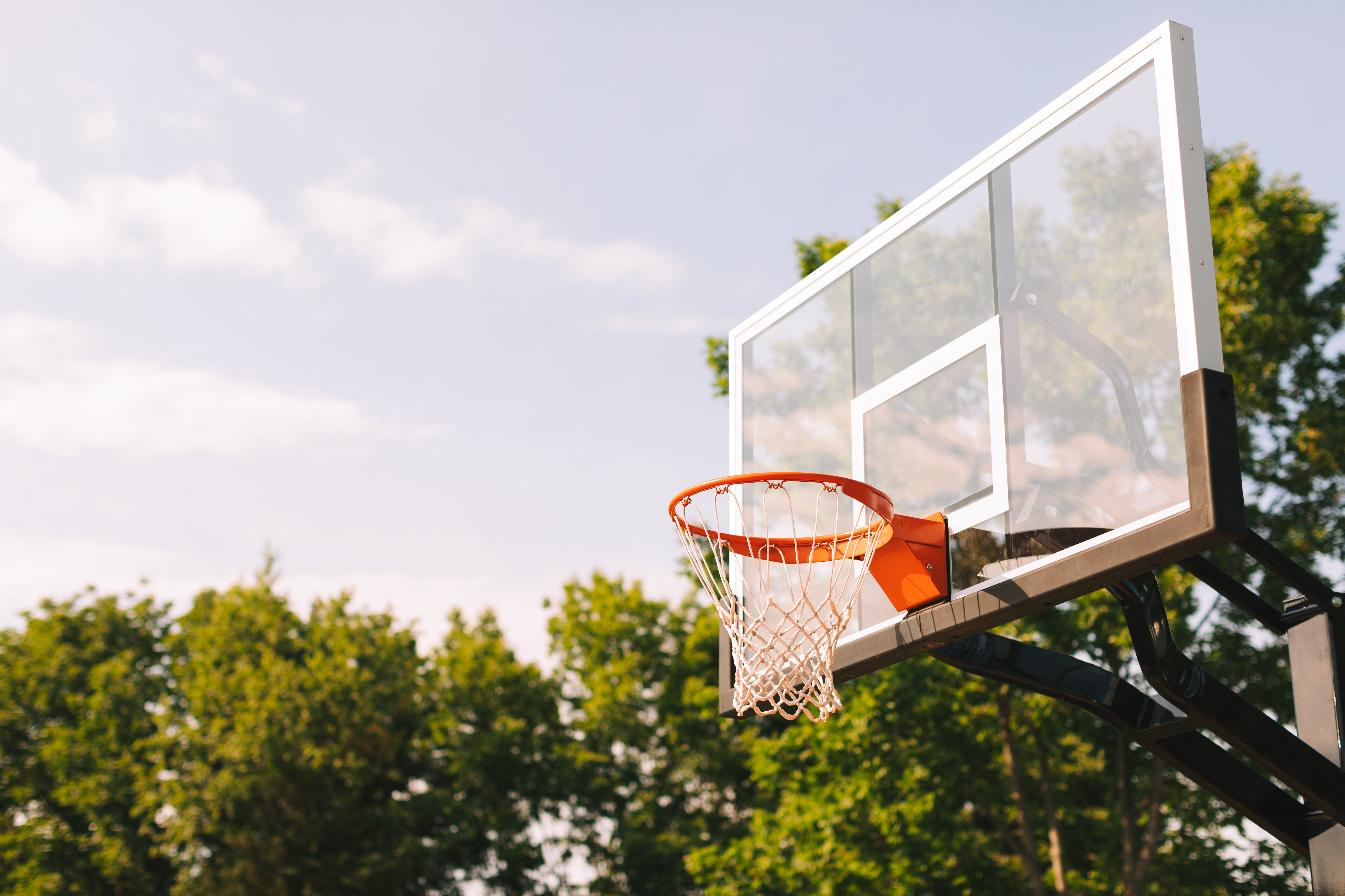 17 Stories Basketball Hoop by - Print | Wayfair.ie