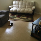 Orren Ellis Ivetta Abstract Rug & Reviews | Wayfair