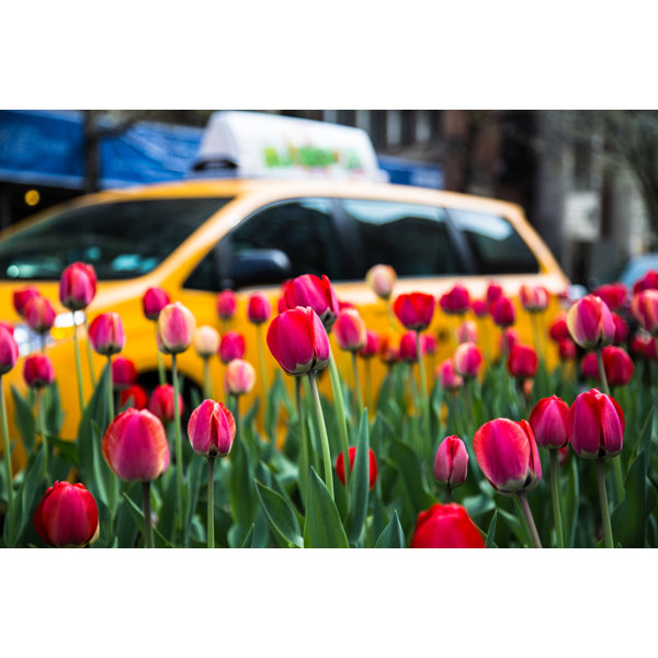 Ebern Designs Red Tulips And A Yellow Cab - Wrapped Canvas Photograph ...