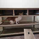 Lark Manor™ Nibbi 47" Console Table with Wood Frame and Legs, 3 Drawers ...