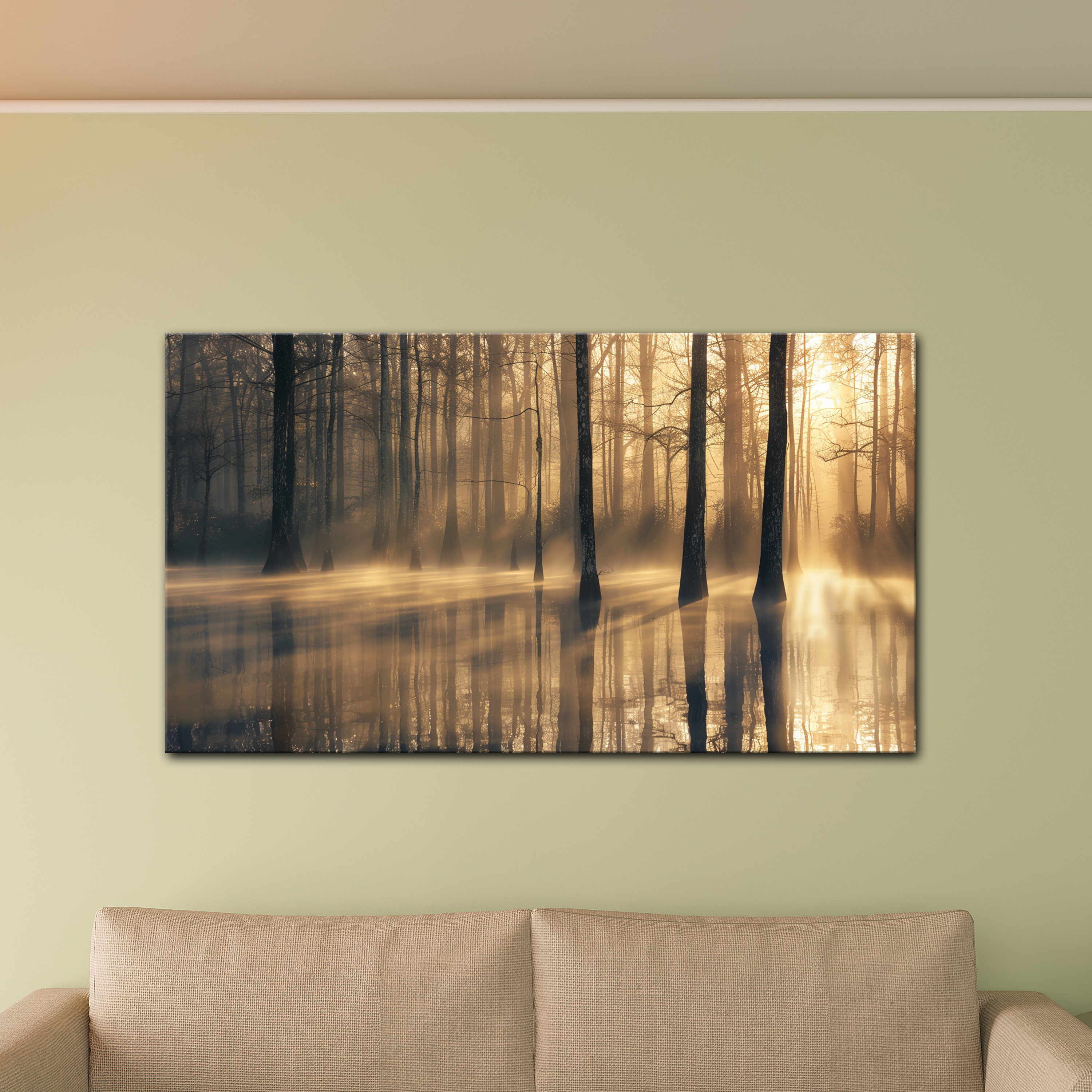 Millwood Pines Morning Mist: a forest of light in the morning mist by ...