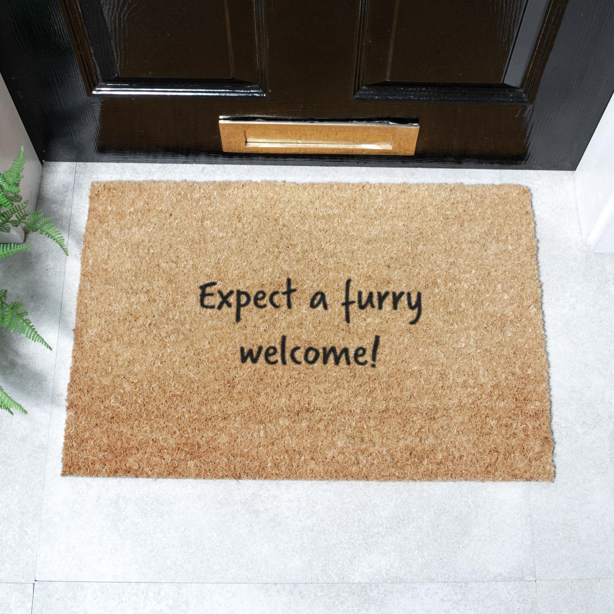 Happy Larry Expect a furry welcome Coir Doormat | Wayfair.co.uk