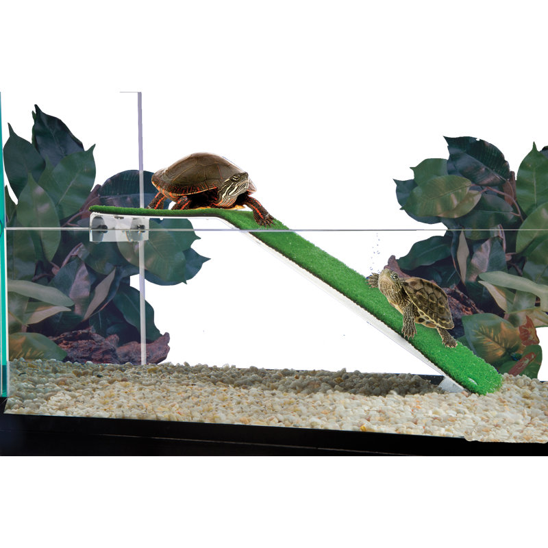 Penn Plax Reptology Turtle Basking Ramp Platform - Habitat Decor - 17.5 ...